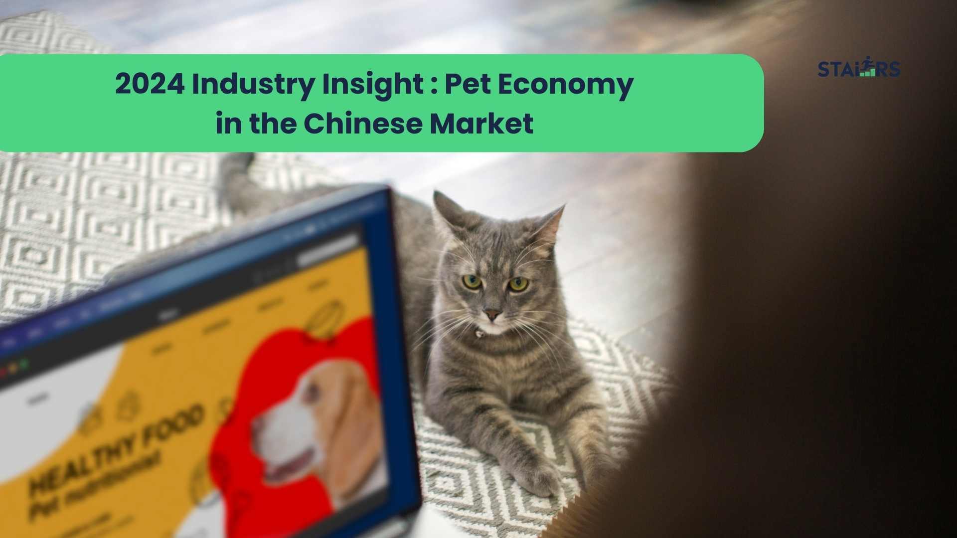 2024 Industry Insight: Pet Economy in the Chinese Market